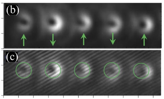 Publications | ANU Polariton BEC group